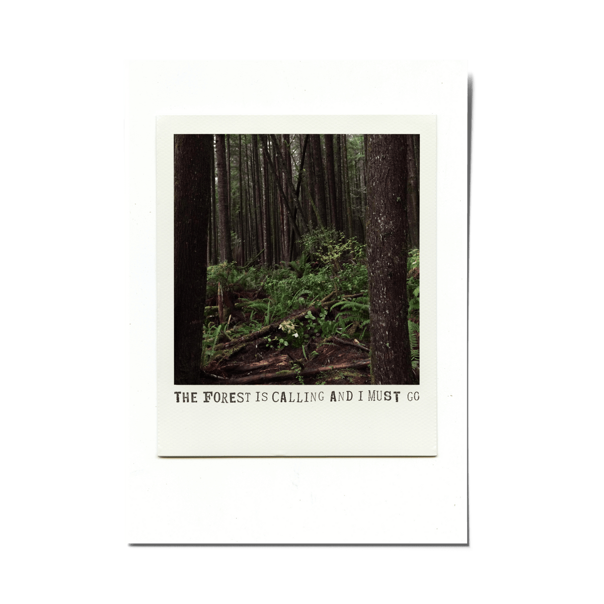 The Forest is Calling Postcard – The Handcrafted Story